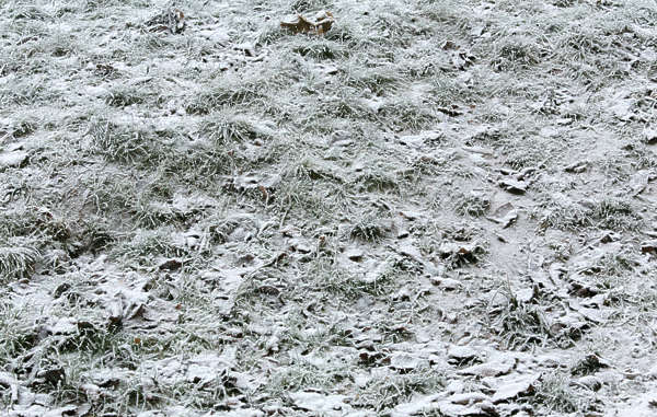 Frozen Ground Texture